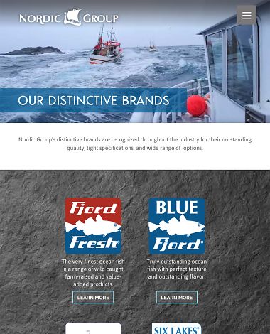 Nordic Group Corporate Website | Guy With Glasses